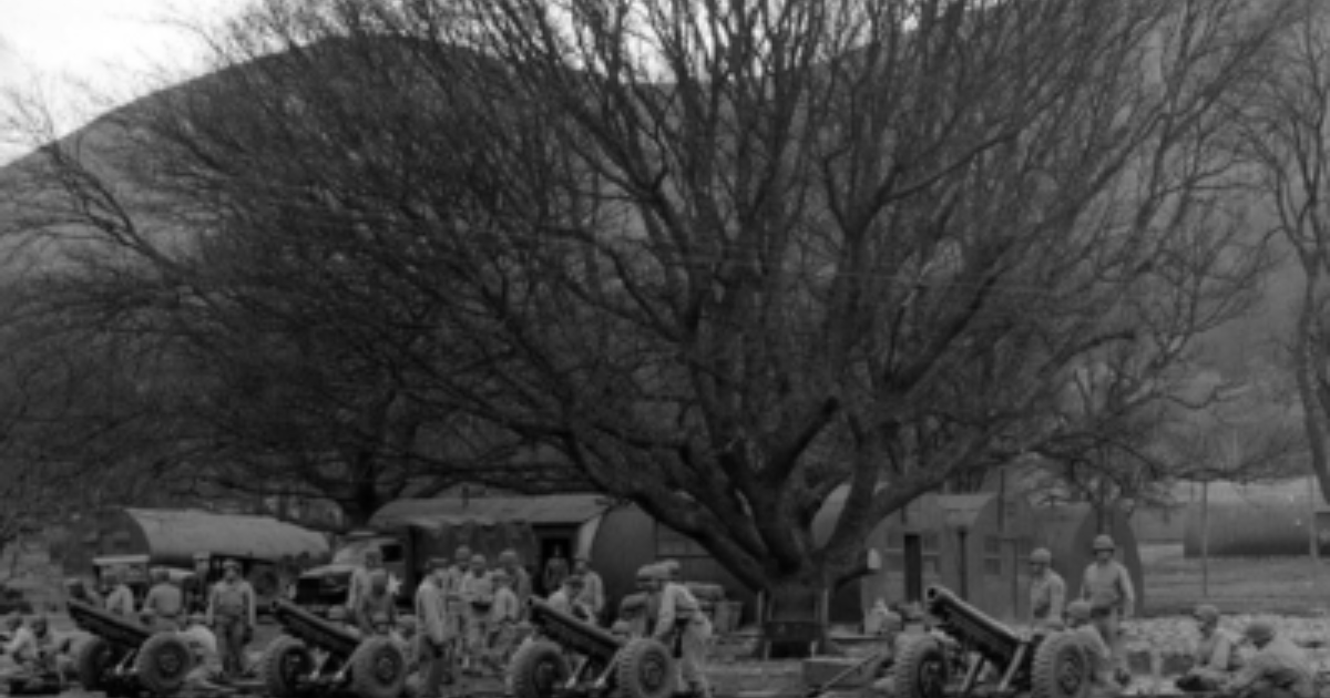 Diamonds in the Emerald Isle; The 5th Infantry Division in…