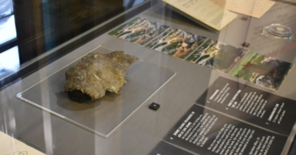 Rivenwood Bomb fragments donated to the NIWM